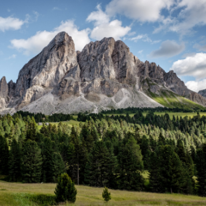 NicePage: we-create-memorable-experiences